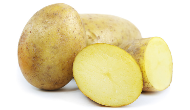 Brambory - Farma Holubí dům Pod Hazmburkem